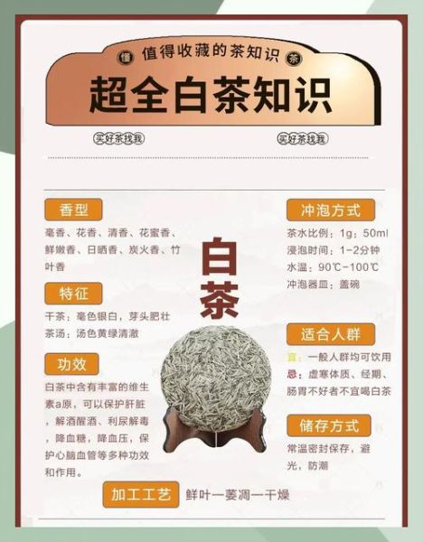 白茶的功效与作用适合什么季节喝_春末夏初还是秋冬-第1张图片-山城妙识