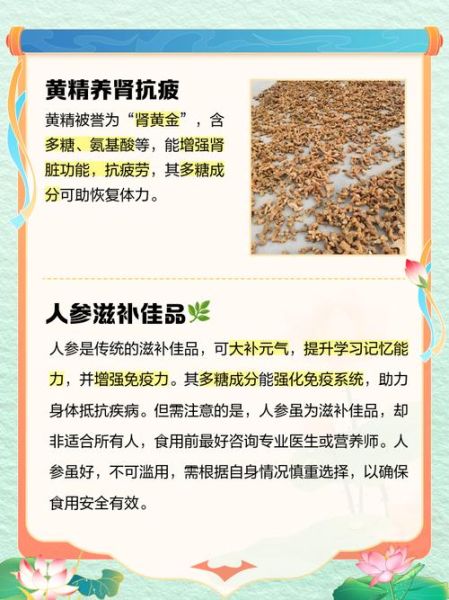 补肾食物排名_哪些食物补肾效果最好-第2张图片-山城妙识 补肾食物排名_哪些食物补肾效果最好-第2张图片-山城妙识