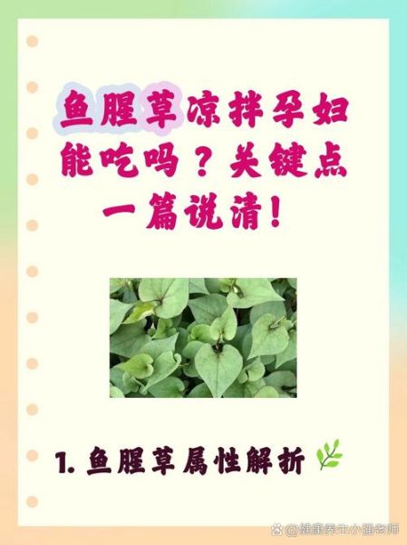 鱼腥草孕妇可以吃吗_孕妇吃鱼腥草禁忌-第1张图片-山城妙识