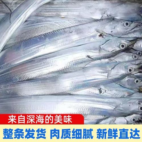 带鱼价格一般多少钱_新鲜带鱼多少钱一斤-第1张图片-山城妙识