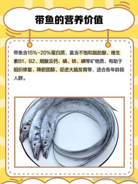带鱼价格一般多少钱_新鲜带鱼多少钱一斤-第3张图片-山城妙识