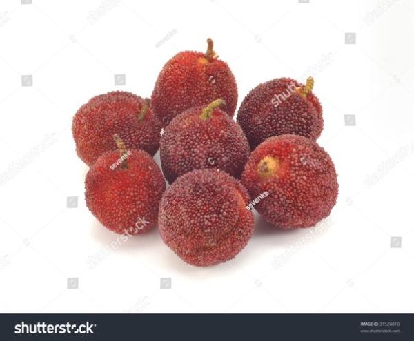 waxberry怎么读_waxberry中文意思是什么-第1张图片-山城妙识