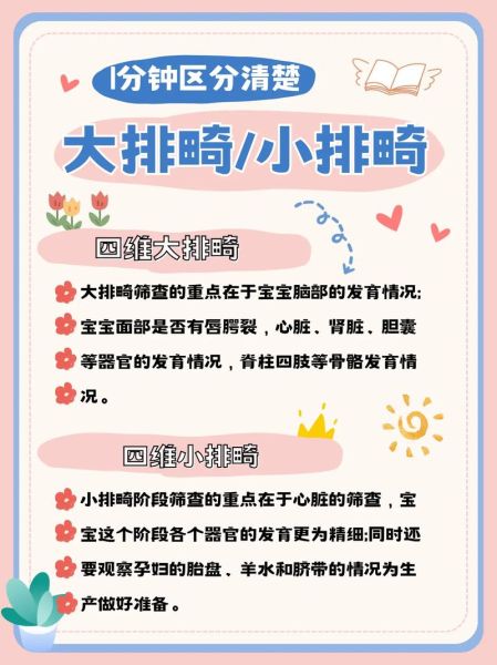 大排畸和小排畸检查区别_什么时候做最合适-第1张图片-山城妙识