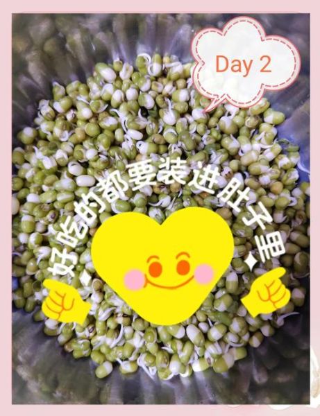 豆芽姐姐手工坊怎么做_适合新手吗-第1张图片-山城妙识