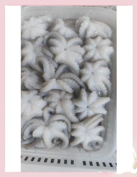 小章鱼怎么处理_小章鱼清洗方法-第2张图片-山城妙识