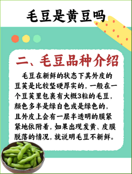 毛豆子有什么功效_毛豆子能减肥吗-第3张图片-山城妙识