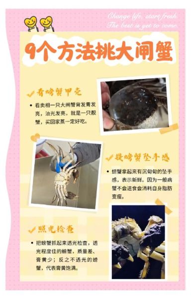 大闸蟹吃什么_大闸蟹怎么养活-第1张图片-山城妙识 大闸蟹吃什么_大闸蟹怎么养活-第1张图片-山城妙识