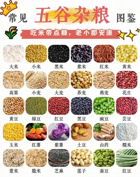 五谷是哪5种_五谷具体指什么-第1张图片-山城妙识