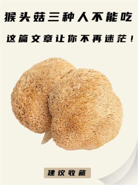 猴头菇哪些人不能吃_六种人不宜吃猴头菇-第1张图片-山城妙识 猴头菇哪些人不能吃_六种人不宜吃猴头菇-第1张图片-山城妙识