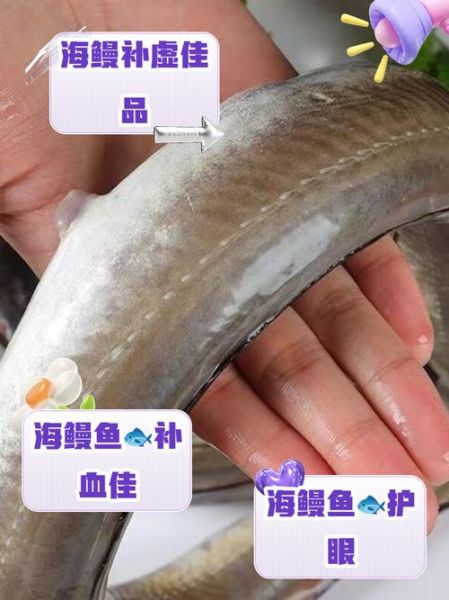 海鳗鱼怎么做好吃_海鳗鱼的营养价值-第1张图片-山城妙识 海鳗鱼怎么做好吃_海鳗鱼的营养价值-第1张图片-山城妙识