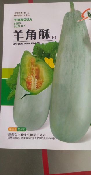 北方种的菜瓜叫什么瓜_菜瓜和黄瓜区别-第1张图片-山城妙识 北方种的菜瓜叫什么瓜_菜瓜和黄瓜区别-第1张图片-山城妙识