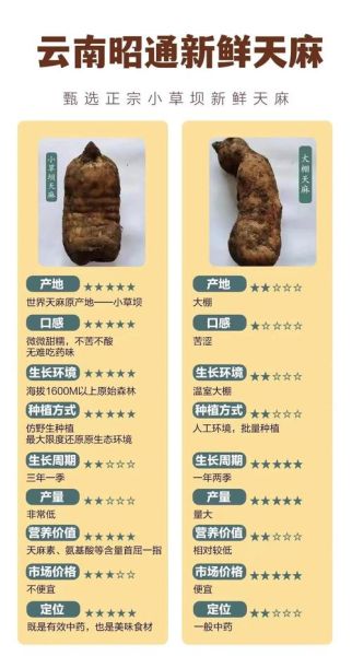 天麻一次吃多少克_天麻什么人不能吃-第2张图片-山城妙识