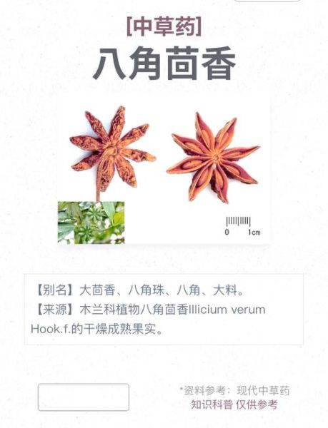 八角茴香长什么样_八角茴香图片怎么辨别真假-第1张图片-山城妙识 八角茴香长什么样_八角茴香图片怎么辨别真假-第1张图片-山城妙识
