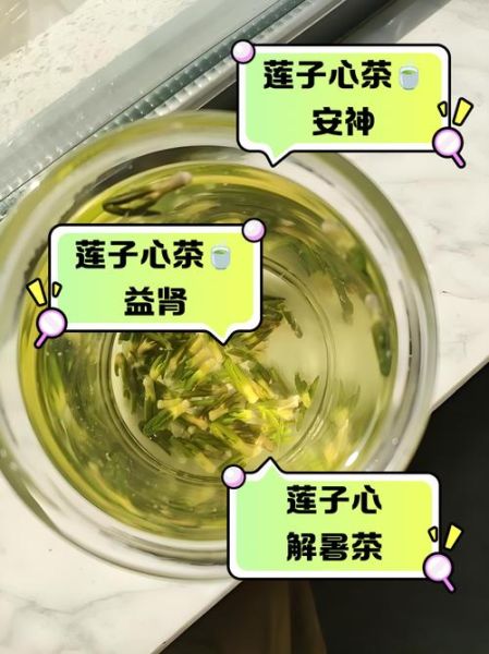 新鲜莲子心泡水喝的功效_莲子心泡水一次放几粒-第3张图片-山城妙识 新鲜莲子心泡水喝的功效_莲子心泡水一次放几粒-第3张图片-山城妙识