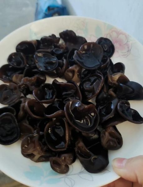 木耳泡多久可以吃_木耳泡久了有毒吗-第3张图片-山城妙识 木耳泡多久可以吃_木耳泡久了有毒吗-第3张图片-山城妙识