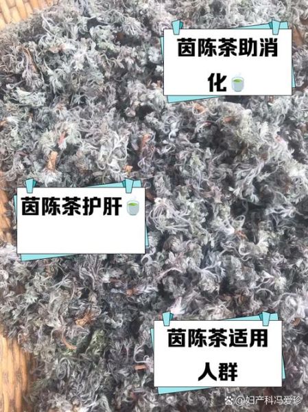 茵陈茶的功效与作用_茵陈茶怎么喝才正确-第2张图片-山城妙识