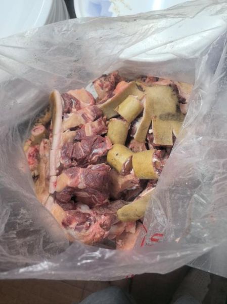 牛鞭图片真实图片活牛_活牛牛鞭怎么辨别真假-第2张图片-山城妙识 牛鞭图片真实图片活牛_活牛牛鞭怎么辨别真假-第2张图片-山城妙识