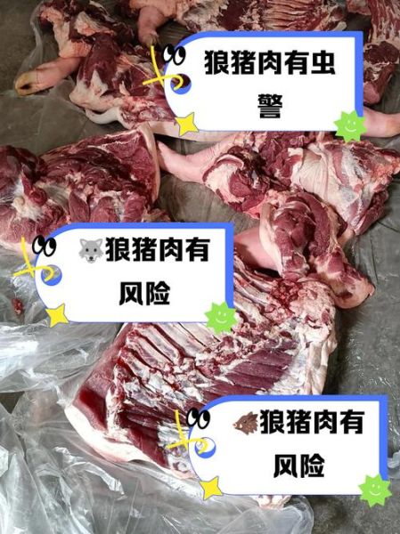 狼肉怎么做好吃_狼肉的做法大全-第3张图片-山城妙识