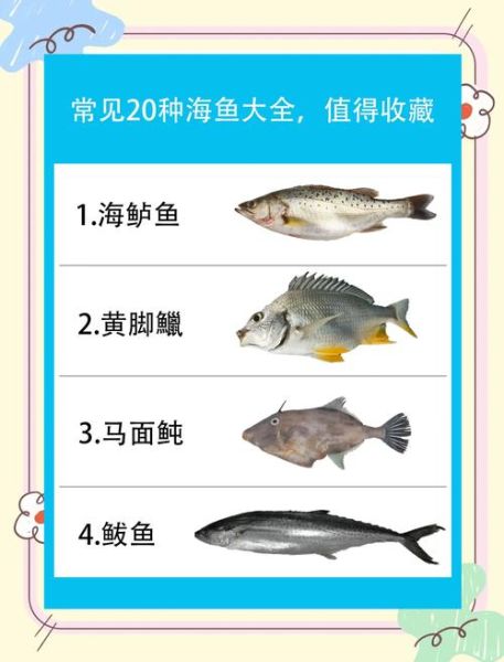 海货大全图片有哪些种类_如何辨别新鲜海货-第1张图片-山城妙识