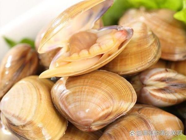 花蛤读音_蛤正确读音是什么-第1张图片-山城妙识