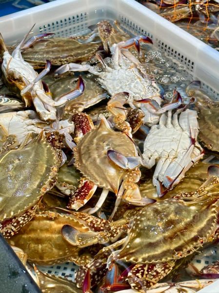 冷冻梭子蟹多少钱一斤_冷冻梭子蟹价格走势-第3张图片-山城妙识 冷冻梭子蟹多少钱一斤_冷冻梭子蟹价格走势-第3张图片-山城妙识