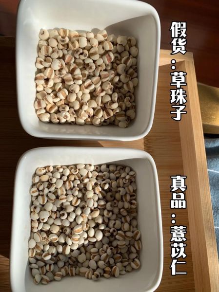 野生薏米长什么样_如何辨别真假-第1张图片-山城妙识 野生薏米长什么样_如何辨别真假-第1张图片-山城妙识