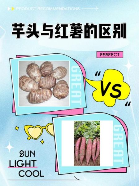 山芋和红薯的区别_山芋和红薯哪个更健康-第2张图片-山城妙识 山芋和红薯的区别_山芋和红薯哪个更健康-第2张图片-山城妙识