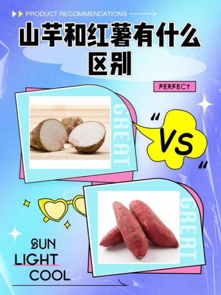 山芋和红薯的区别_山芋和红薯哪个更健康-第1张图片-山城妙识 山芋和红薯的区别_山芋和红薯哪个更健康-第1张图片-山城妙识