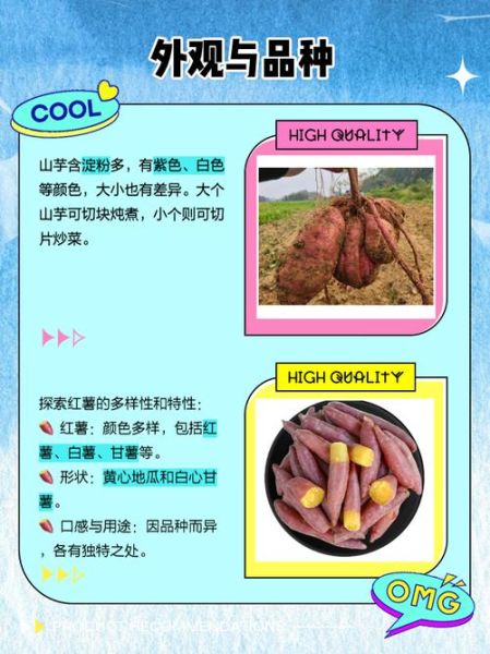 山芋和红薯的区别_山芋和红薯哪个更健康-第3张图片-山城妙识 山芋和红薯的区别_山芋和红薯哪个更健康-第3张图片-山城妙识