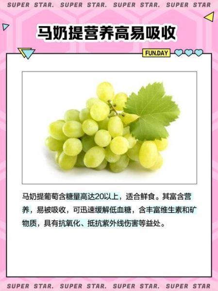 马奶提葡萄的功效与作用_马奶提葡萄多少钱一斤-第1张图片-山城妙识 马奶提葡萄的功效与作用_马奶提葡萄多少钱一斤-第1张图片-山城妙识