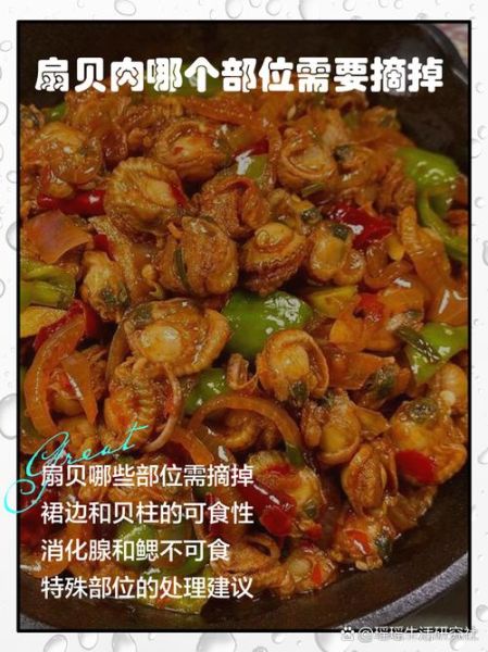扇贝哪些部位不能吃_怎么处理才安全-第3张图片-山城妙识 扇贝哪些部位不能吃_怎么处理才安全-第3张图片-山城妙识