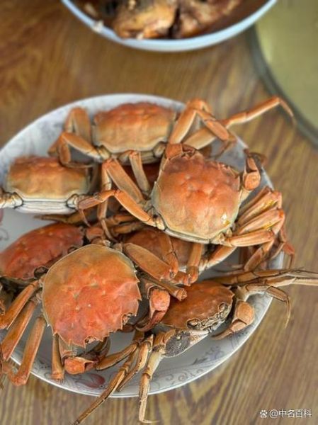 螃蟹煮几分钟就熟了_冷水下锅还是热水-第1张图片-山城妙识 螃蟹煮几分钟就熟了_冷水下锅还是热水-第1张图片-山城妙识