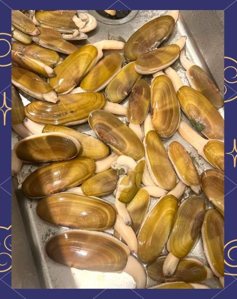 蚬子怎么读_蚬子读音是什么-第3张图片-山城妙识 蚬子怎么读_蚬子读音是什么-第3张图片-山城妙识