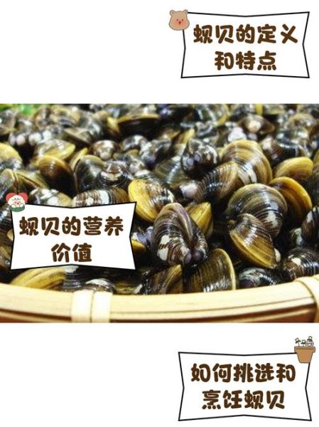 蚬子怎么读_蚬子读音是什么-第2张图片-山城妙识 蚬子怎么读_蚬子读音是什么-第2张图片-山城妙识