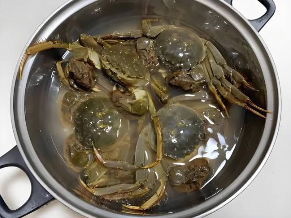 螃蟹煮几分钟就熟了_冷水下锅还是热水-第2张图片-山城妙识 螃蟹煮几分钟就熟了_冷水下锅还是热水-第2张图片-山城妙识