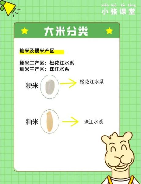 粳米是什么_粳米和大米的区别-第1张图片-山城妙识