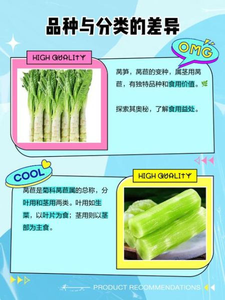 青笋和莴笋一样吗_青笋与莴笋的区别-第3张图片-山城妙识 青笋和莴笋一样吗_青笋与莴笋的区别-第3张图片-山城妙识