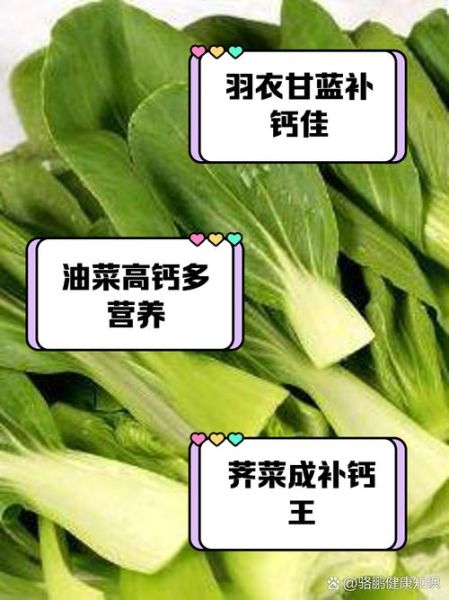 孕妇吃什么菜补钙_孕期补钙蔬菜推荐-第2张图片-山城妙识