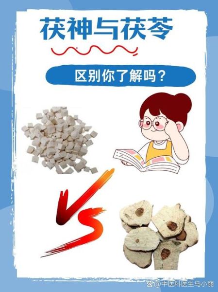 茯神和茯苓的区别_茯神与茯苓功效差异-第2张图片-山城妙识