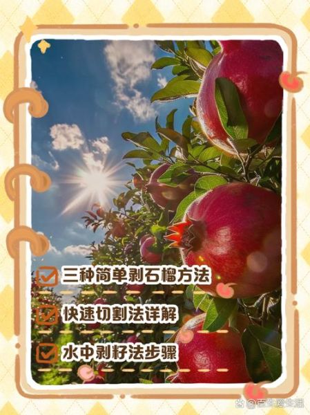 怎么剥石榴最快_石榴剥法图解-第3张图片-山城妙识 怎么剥石榴最快_石榴剥法图解-第3张图片-山城妙识
