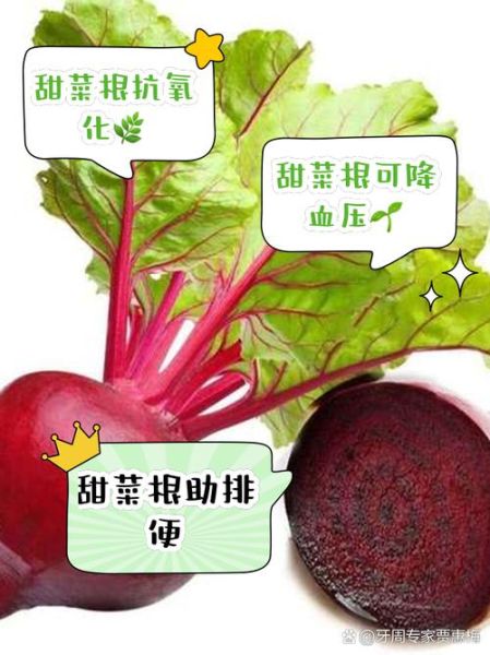 甜菜根的危害_哪些人不能吃甜菜根-第2张图片-山城妙识