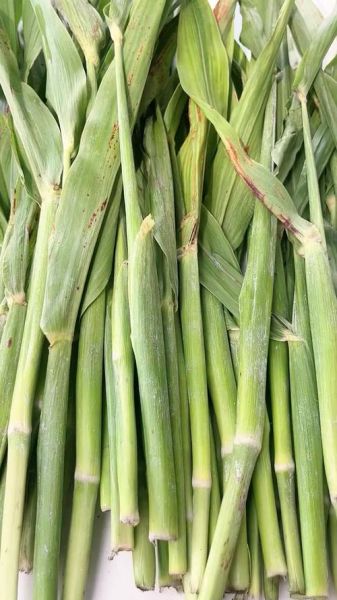 高粱乌米有什么功效_高粱乌米怎么吃效果最好-第1张图片-山城妙识 高粱乌米有什么功效_高粱乌米怎么吃效果最好-第1张图片-山城妙识