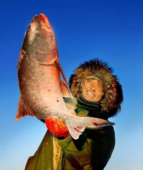 大马哈鱼图片大全大图_大马哈鱼高清图哪里找-第2张图片-山城妙识 大马哈鱼图片大全大图_大马哈鱼高清图哪里找-第2张图片-山城妙识