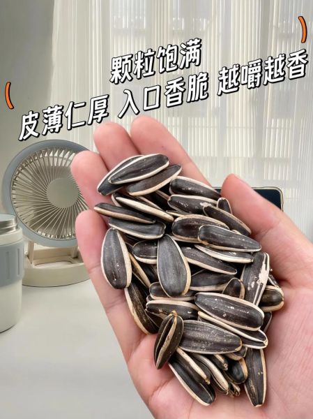 葵花籽价格多少钱一斤_葵花籽批发多少钱一斤-第1张图片-山城妙识 葵花籽价格多少钱一斤_葵花籽批发多少钱一斤-第1张图片-山城妙识