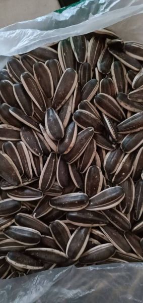 葵花籽价格多少钱一斤_葵花籽批发多少钱一斤-第2张图片-山城妙识 葵花籽价格多少钱一斤_葵花籽批发多少钱一斤-第2张图片-山城妙识