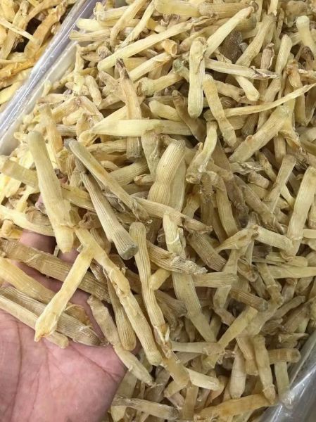 沙虫干怎么泡发_沙虫干泡发多久-第1张图片-山城妙识