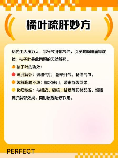 桔子叶的功效与作用_桔子叶泡水喝有什么禁忌-第1张图片-山城妙识