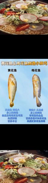 梅子鱼和小黄鱼有什么区别_哪个更好吃-第2张图片-山城妙识