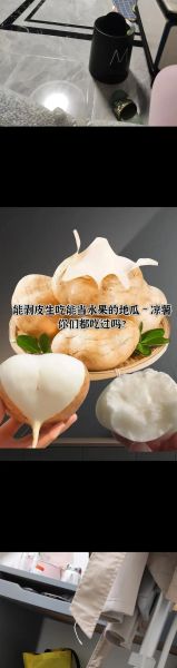 凉薯怎么保存_凉薯可以生吃吗-第2张图片-山城妙识