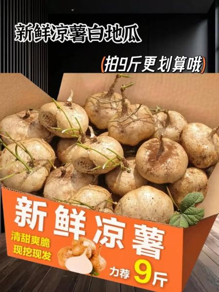 凉薯怎么保存_凉薯可以生吃吗-第1张图片-山城妙识